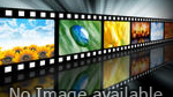 வேப்ப மரத்திலிருந்து விடாமல் வடியும் பால்.. மக்கள் பரவசம்- வீடியோ ...