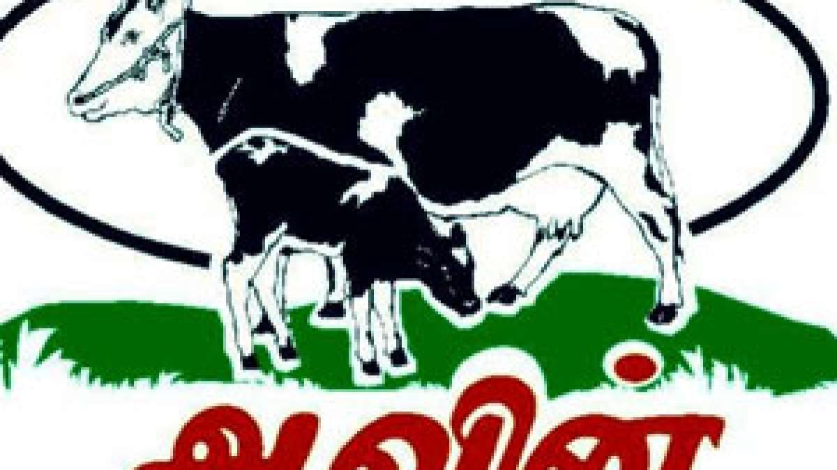 தீபாவளிக்கு மக்களுக்கு விதம் விதமாக "அல்வா" தரப் போகும் ஆவின்! | Avin ...