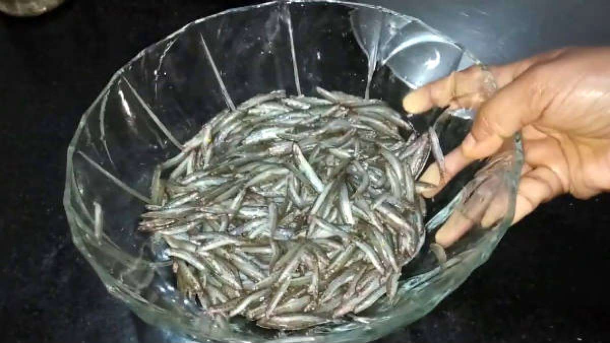 அயிரை மீன் குழம்பு ரசிச்சு ருசிச்சு அப்படியே சாப்பிடலாம்... என்னென்ன ...