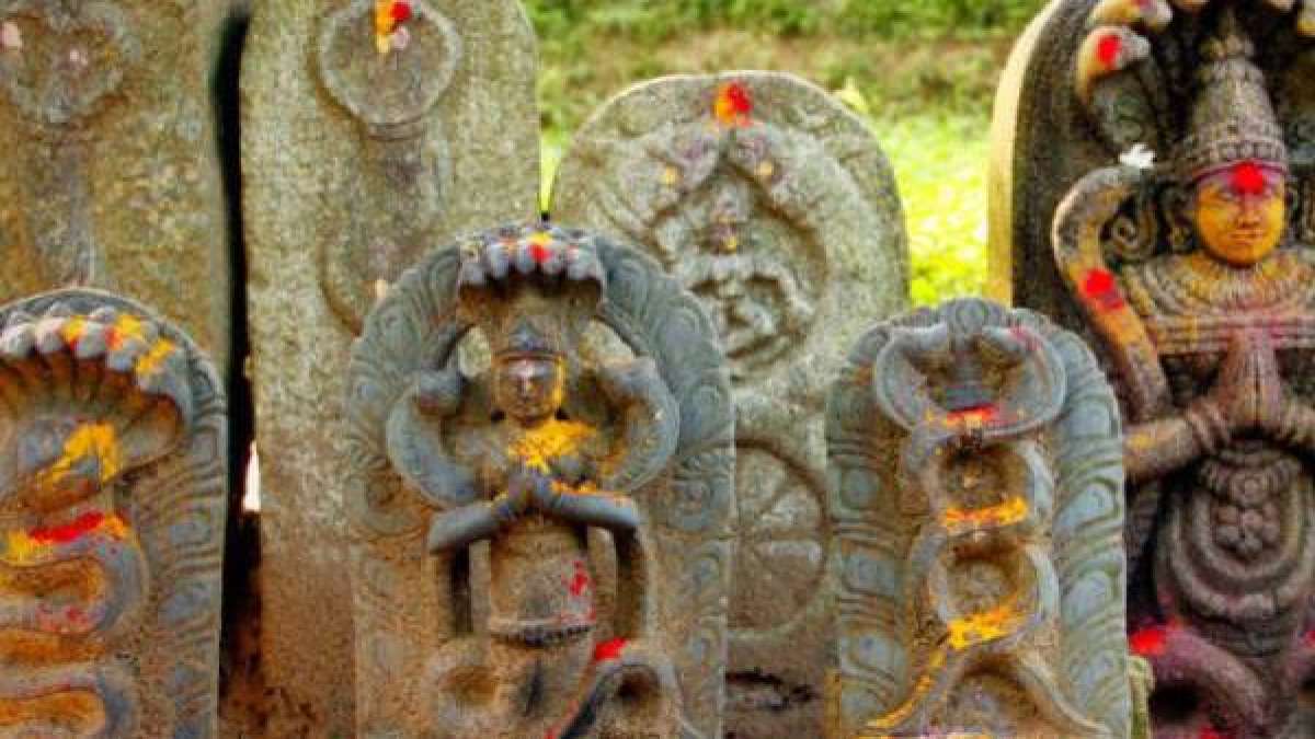 பாம்புகள் பழிவாங்குமா? கனவில் அடிக்கடி வந்தால் என்ன பலன் தெரியுமா ...