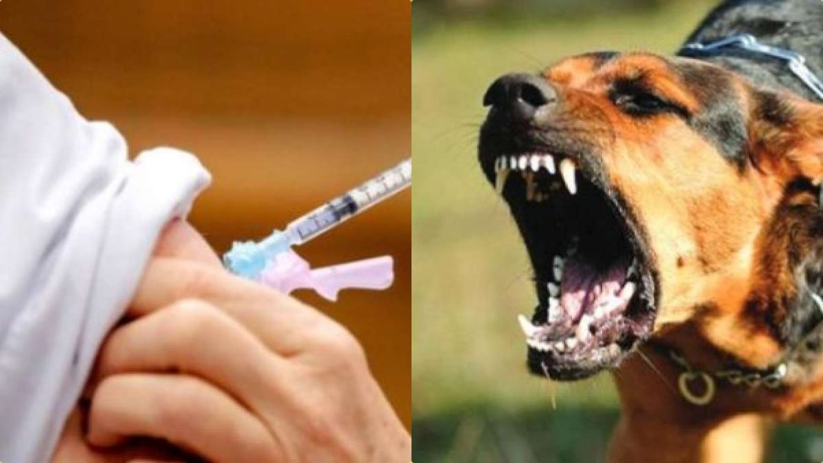 கேரளாவை மிரட்டும் 'ரேபீஸ்' - தடுப்பூசி செலுத்தியும் பாதிப்பு - தொடரும் ...