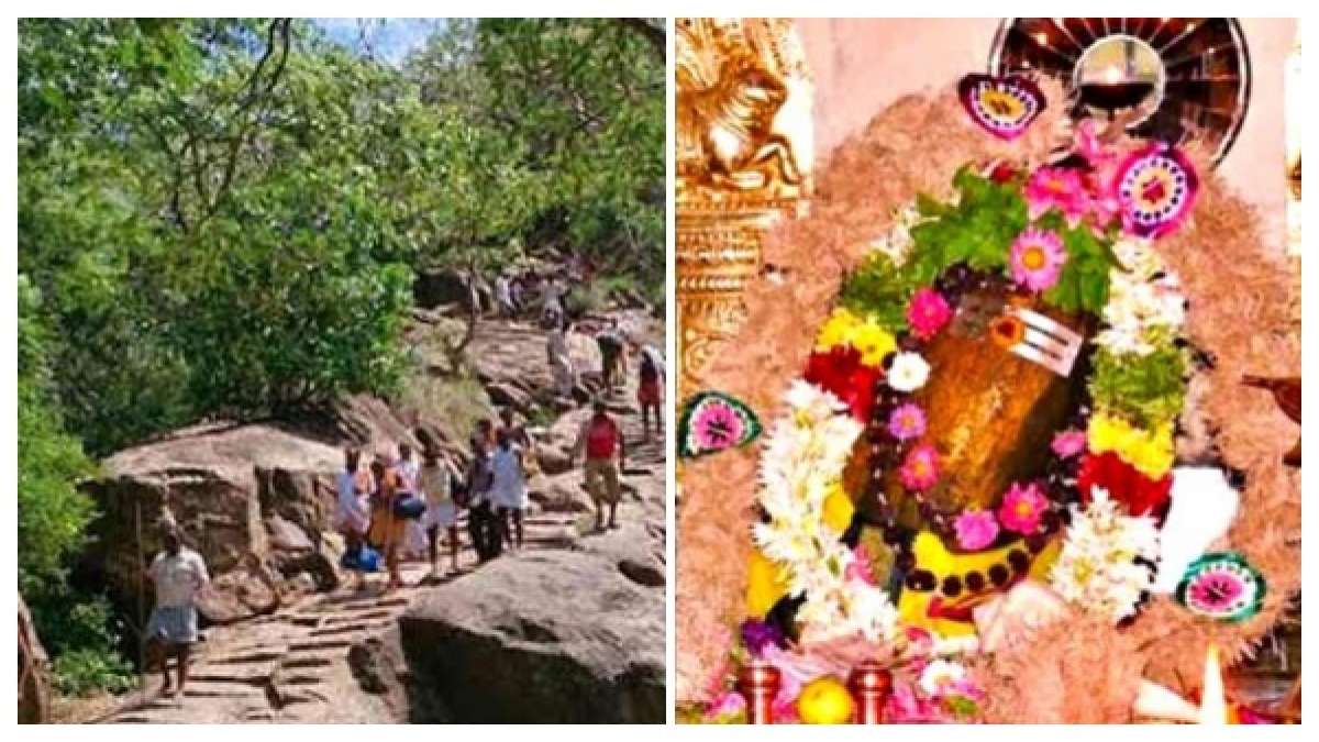 பங்குனி உத்திரம்.. முருகன் ஆலயங்களில் குவிந்த பக்தர்கள்..பழனியில் ...