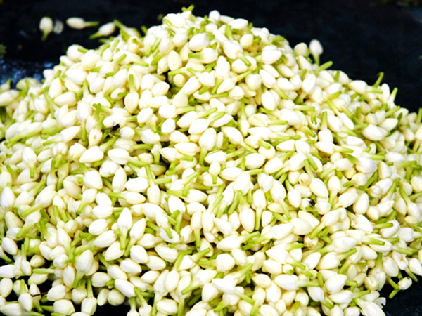 வெளிநாடுகளில் மணம் பரப்பத் தயாராகும் மதுரை மல்லி...! | Export routes ...