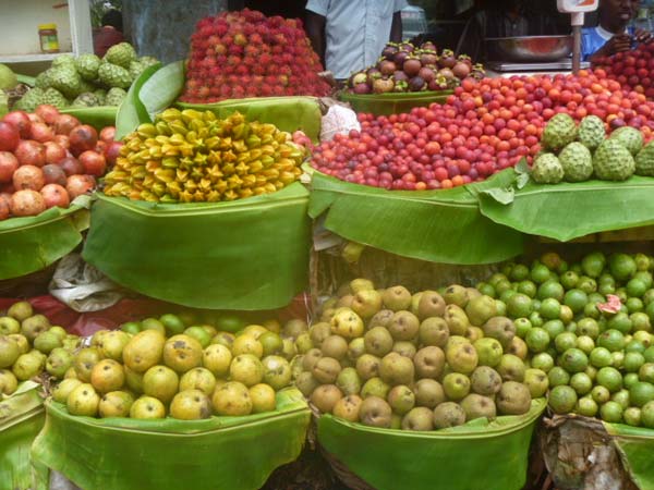 துரியன்... ரம்புட்டான்... மங்குஸ்தான்... குற்றாலத்தில் ...