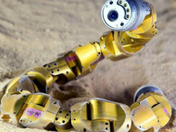 ஆபத்தில் இருப்பவர்களைக் காப்பாற்ற 'பாம்பு ரோபோ' – அமெரிக்க விஞ்ஞானிகள் ...