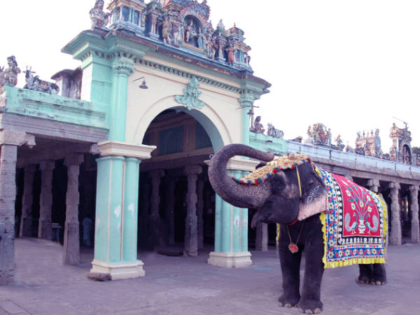 வெயில தணிக்க இப்படி ஏதாவது செஞ்சா தான் முடியும்... ஷவரில் ஜாலியாக ...