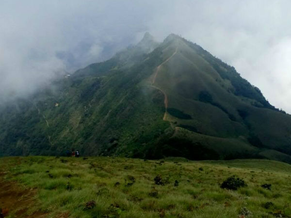 Meesapulimala trekகும் நாக்குத் தள்ளல் Momentuம்! | A reader's tour ...