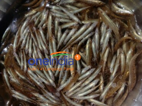 நீங்க அயிரை மீன் குழம்பை உச்சு கொட்டி சாப்பிடுபவரா... உஷார் ...