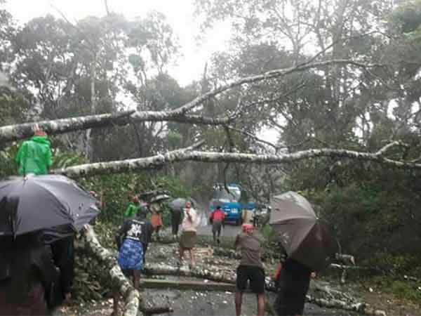 கேரளாவை புரட்டிப்போட்ட ஓகி புயல்.. 2 பேரிடர் மீட்புக்குழுக்கள் கொச்சின் ...