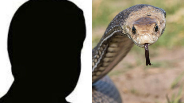 கர்நாடகாவில் 300 பாம்புகளை பிடித்தவர் பலி.. 301வது பாம்பை அஜாக்கிரதையாக ...