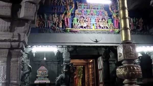 ஆருத்ரா தரிசனம் : திருநெல்வேலி நெல்லையப்பர் கோவிலில் ஜன.1ல் கொடியேற்றம் ...