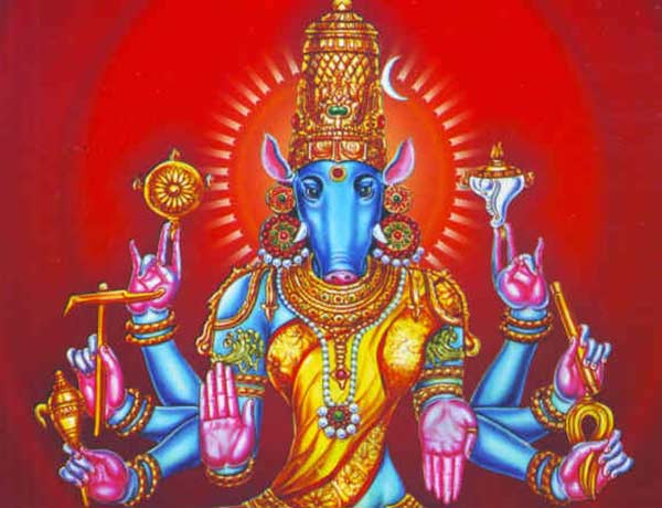 வளர்பிறை பஞ்சமி: ஆஷாட நவராத்திரி நாளில் வாராகியை மனதார வழிபட்டால் கேட்ட ...