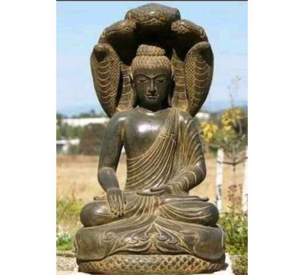 "குறியீடு".. சிவன் கழுத்தில் "நாகம்".. பவுத்தத்தின் அடையாளமா ...