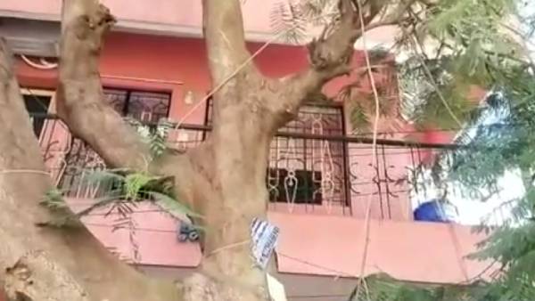 வாகை மரத்திலிருந்து குடம் குடமாக கொட்டிய தண்ணீர்.. ஆச்சரியப்பட்ட மக்கள் ...