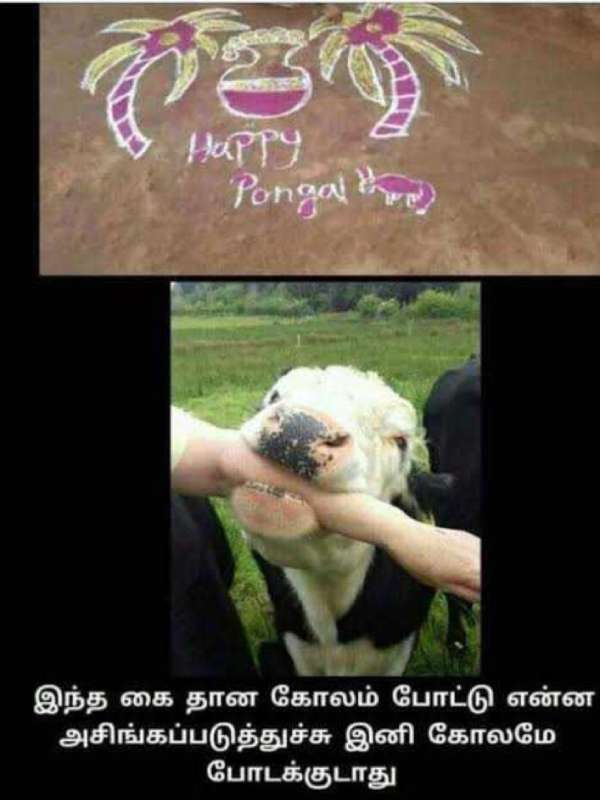 ட்ராப்டர்லாம் வச்சி கோலம் போட்டுருக்கிறதை பார்த்தா.. சிவில் ...