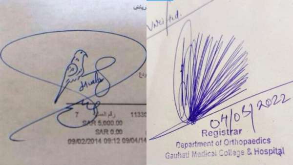 அய்யோ பறவை, முள்ளம்பன்றி.. இணையத்தில் சுற்றி வரும் அரசு அதிகாரியின் ...