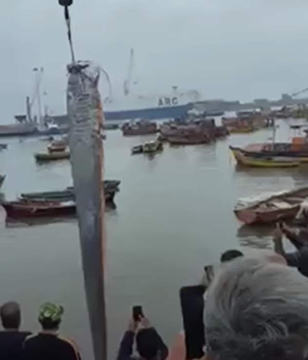 யப்பா.. இவ்வளவு பெரிய மீனா! ஏழை மீனவர்களிடம் அகப்பட்ட "மாஸ்" மீன் ...