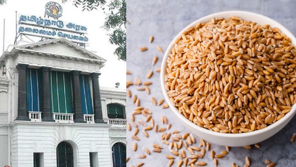 நெல் சாகுபடி உற்பத்தியில் தமிழகம் புதிய சாதனை! 20 ஆண்டுகளில் இல்லாத ஒரு ...