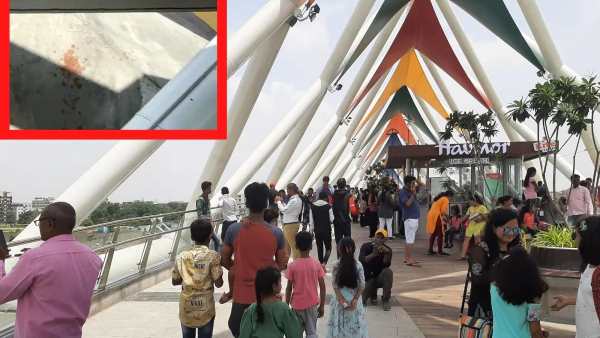 74 கோடி போச்சே! குஜராத்தில் மோடி திறந்த அழகிய பாலம்.. “பீடா எச்சில் ...