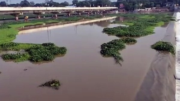 காவிரி, வைகையில் பெருகிய வெள்ளம்..மூழ்கிய தரைப்பாலங்கள்..போக்குவரத்து ...
