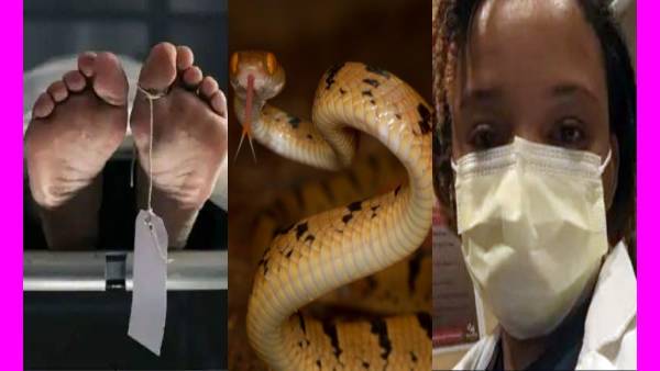 இறந்தவரின் "தொடைக்குள்" நெளிந்து வெளியே வந்த பாம்பு.. போஸ்ட் மார்ட்டம் ...