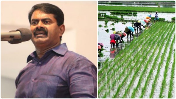 விளைநிலத்தை அழித்து சாலை போட்டுவிட்டு தனியாக பட்ஜெட் போட்டு என்ன பயன் ...