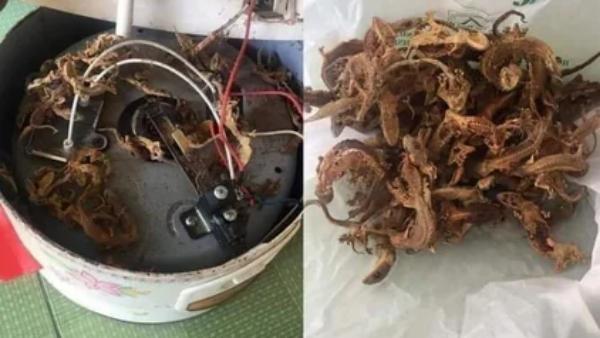 சாதாரண ரைஸ் 'ஃப்ரைட் ரைஸாக' மாறிய விசித்திரம்.. குக்கருக்கு அடியில் ...