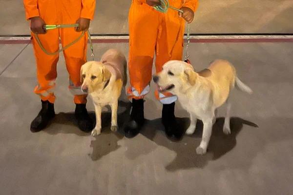 துருக்கியில் பல உயிர்களை காப்பாற்றி ஹீரோவான ஜூலி.. நம்பிக்கையின் ...