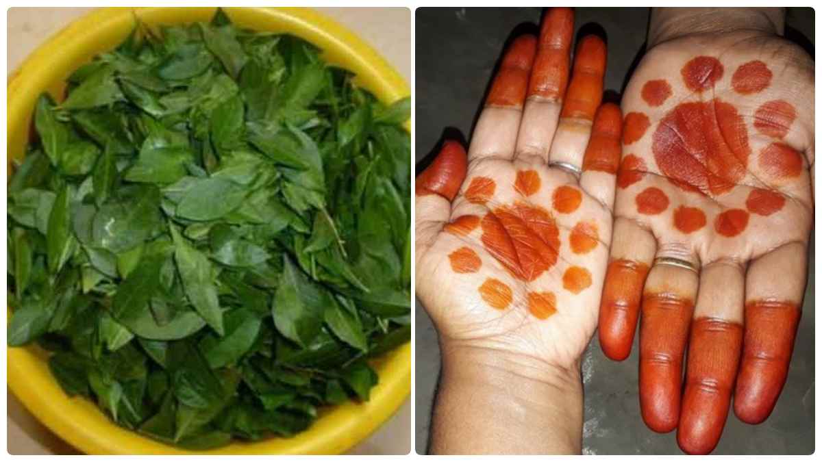 கைகளுக்கு அழகு சேர்க்கும் மருதாணியில்.. எத்தனை நன்மைகள் இருக்கு ...