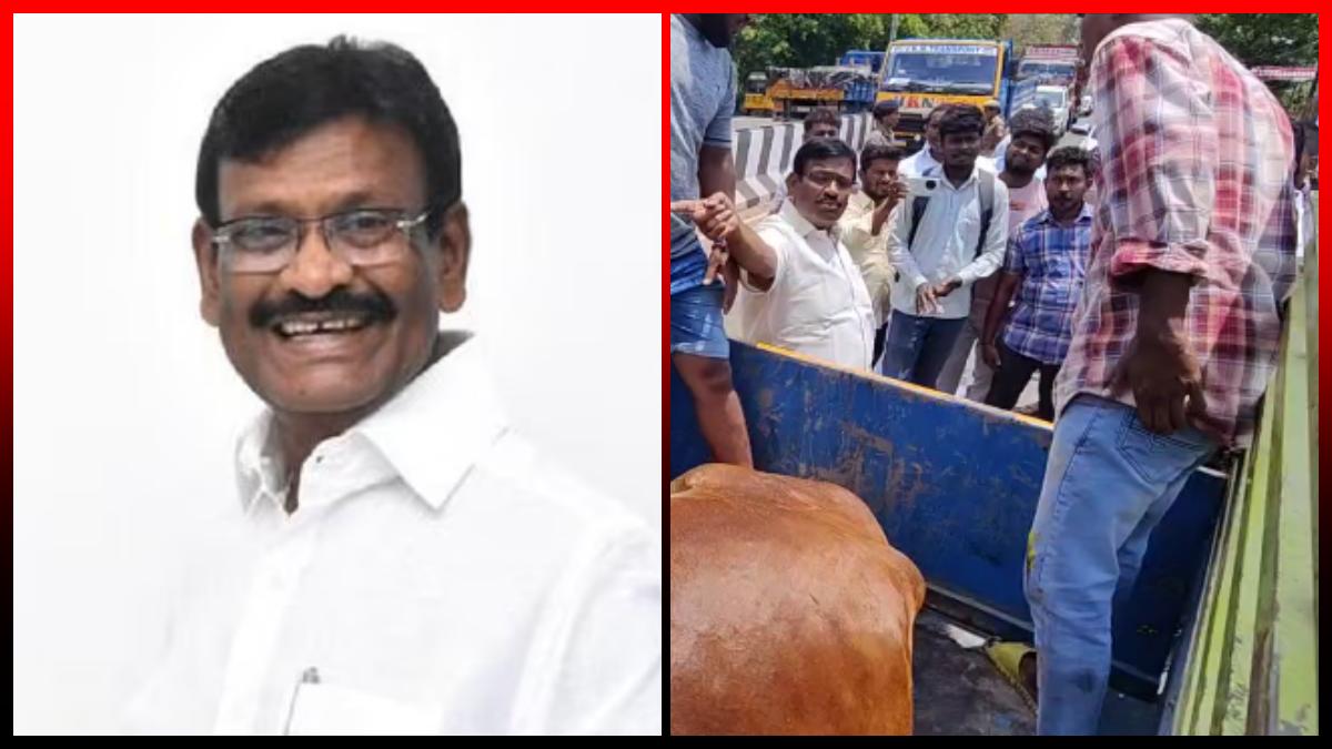 ‘பசு நேசர்’ ஆன நாசர்.. 2 மணி நேரமா நகரவே இல்லையே.. சாலையில் துடித்த ...