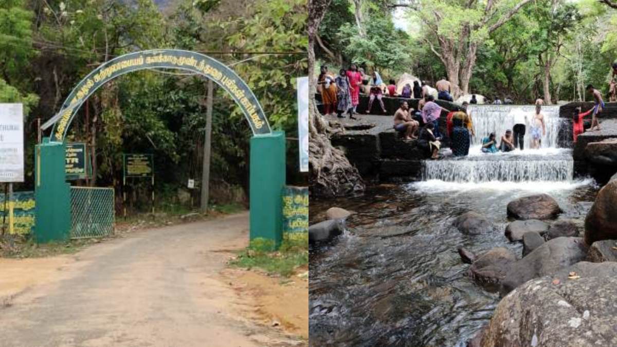 களக்காட்டு தலையணை நீர்வீழ்ச்சியில் அதிகரித்த நீர்வரத்து.. மருத்துவ ...