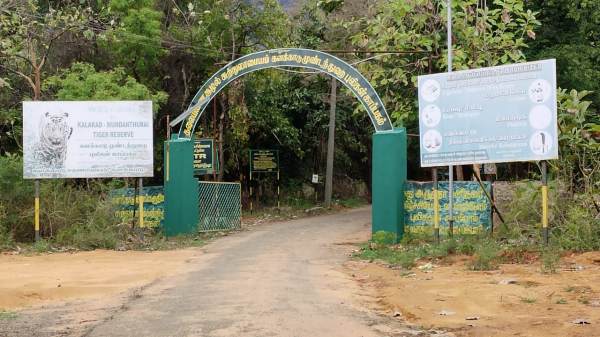 களக்காட்டு தலையணை நீர்வீழ்ச்சியில் அதிகரித்த நீர்வரத்து.. மருத்துவ ...
