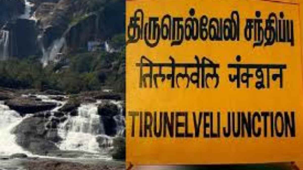 திருநெல்வேலி கிளம்பறீங்களா.. தித்திக்கும் இருட்டுக்கடை அல்வா ...