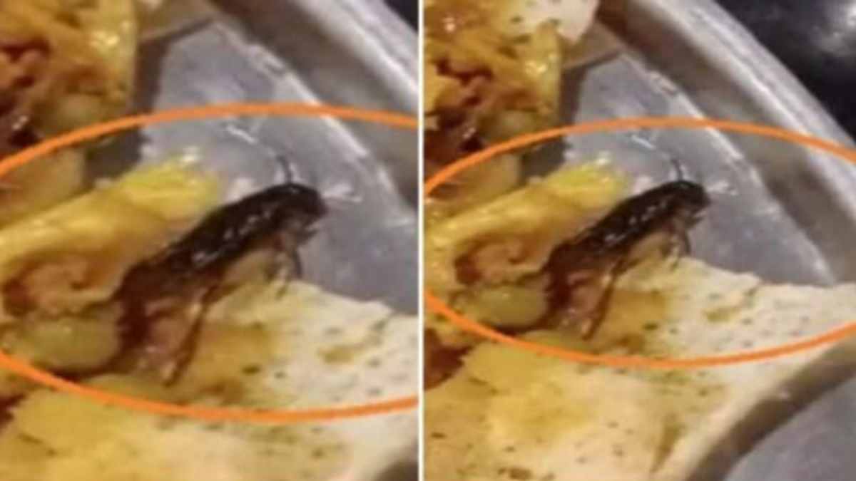 அவங்க கேட்டது மசாலா ரோஸ்ட்.. ஆனா கிடைச்சது கரப்பான்பூச்சி தோசை ...