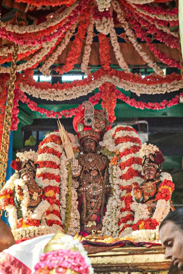 காஞ்சி வரதராஜ பெருமாள் கோவில் பிரம்மோற்சவம்..தேரோட்டம் கோலாகலம்..எதிரொலித்த அத்தி வரதா முழக்கம் ...