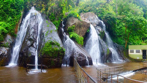 குற்றலாம் சீசன் 2023: சுற்றுலா பயணிகளே உஷாரா இருங்க.. உங்களுக்கு ...