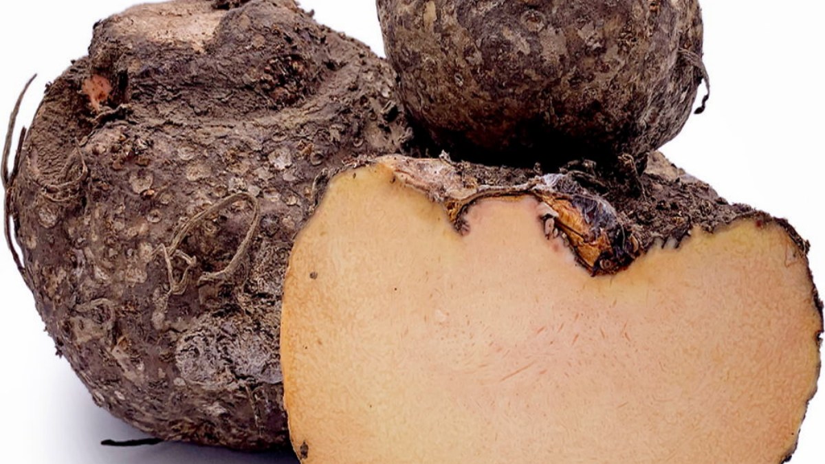 "கருணைக்கிழங்கு".. கருணை காட்டும் கிழங்கு.. ஒரே அதிசயமா இருக்கே ...