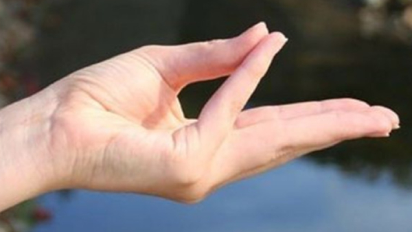 Neer Mudra: நீர் முத்திரை.." இதை பண்ணி பாருங்க.. மூட்டுவலிகள் மாயமாகும்.. ஆன்மீக டிப்ஸ் ...