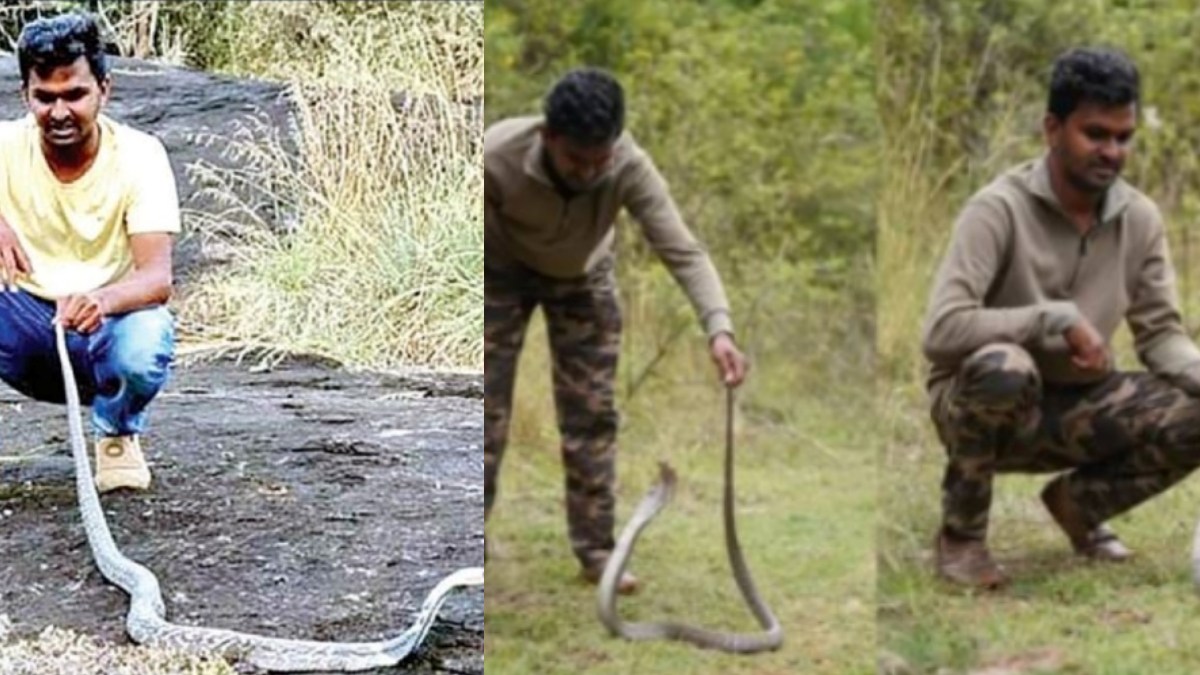 ஸ்ஸ்ஸ்..ஜென்மம் ஜென்மமாய் பின்னாலயே வந்து, பாம்பு பழிவாங்குதா? அதென்ன ...