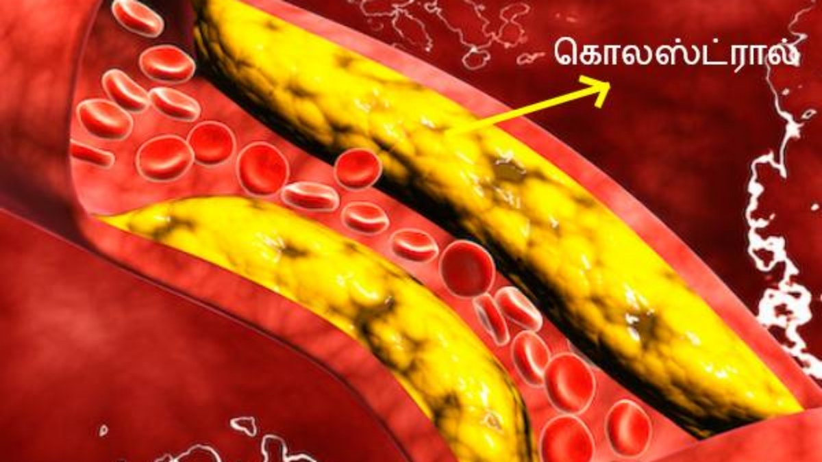மீனில் "பெஸ்ட்" இதுதான்.. பார்க்க ஒருமாதிரியா இருக்கே.. கும்மிருட்டில் ...