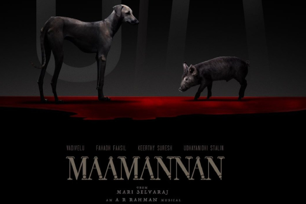 மாமன்னன் படத்தில் இதையெல்லாம் கவனித்தீர்களா.. தோல் உரிக்கும் உண்மைகள் ...