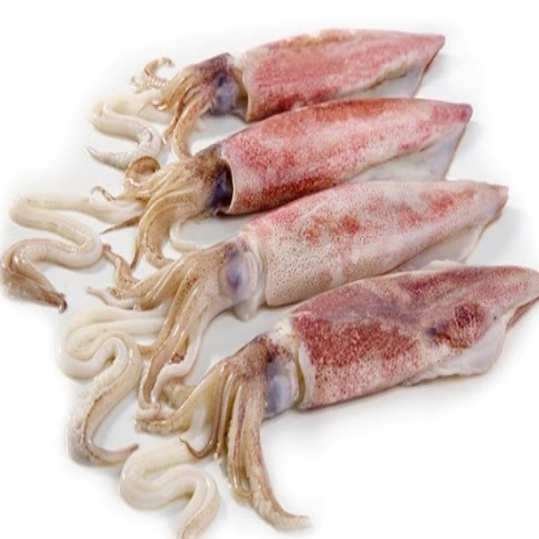 கடம்பா மீன்.. பார்க்கவே தினுசா இருக்கே, பலனோ அள்ளுது.. கடம்பா மீன்களை ...