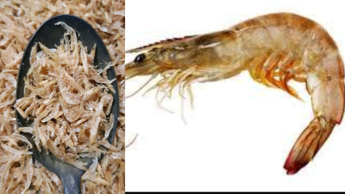 கருவாட்டுக்குழம்பு செய்றீங்களா.. "சென்னாகுன்னி"யை விட்றாதீங்க ...