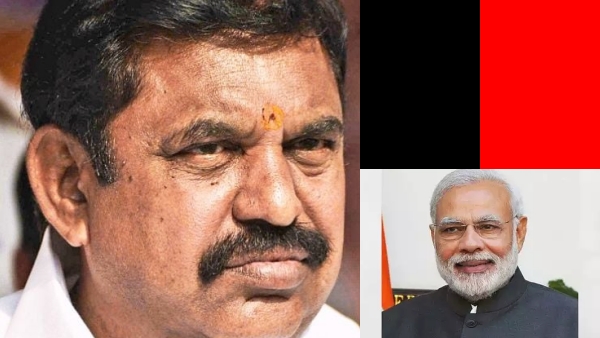 மீனு நழுவிடுச்சே.. பட்ட பாடெல்லாம் வீணா? பெருஸ்ஸா மாட்டும் திமிங்கலம் ...