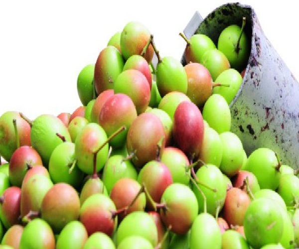 "களாக்காய்" சாப்பிடறீங்களா? கருப்பை கழிவை நீக்கும் கலாக்காய்.. மினுமினு ...