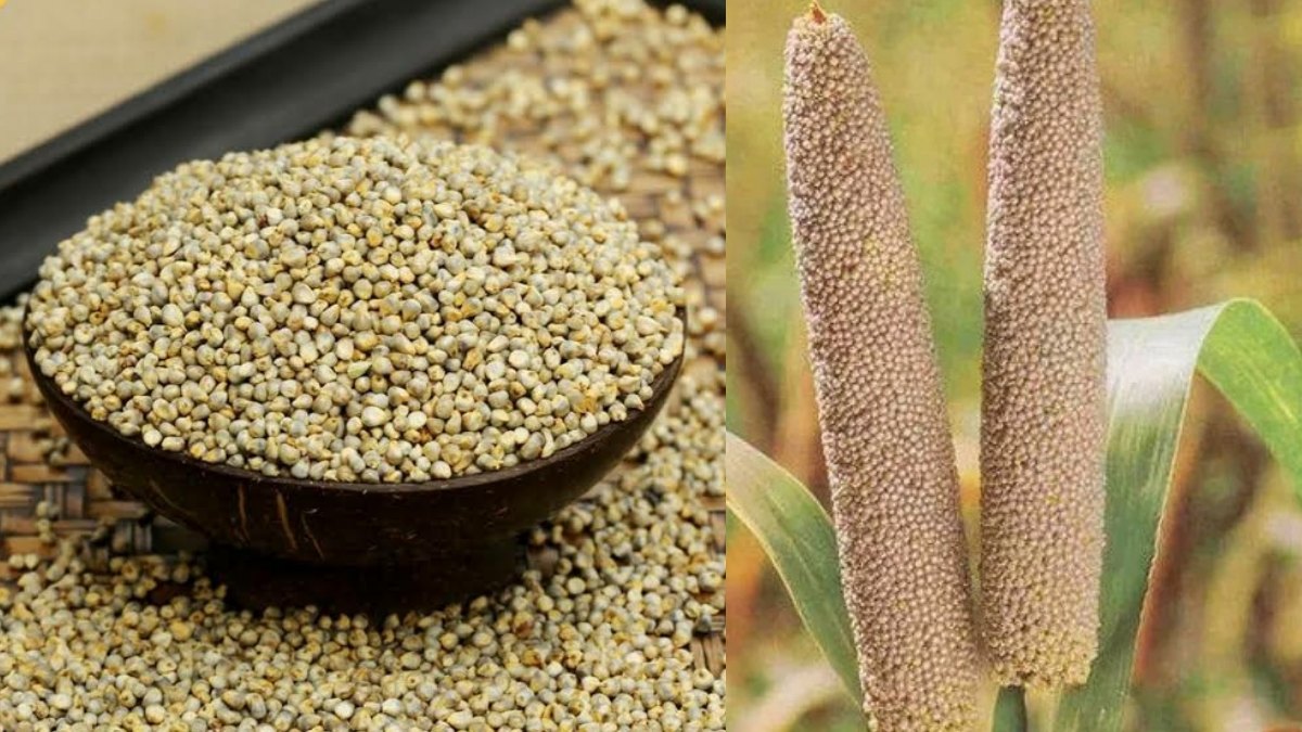 சிக்கன், மட்டனில் இருக்கும் பூரா சத்தும் தம்மாத்துண்டு தானியத்தில் ...