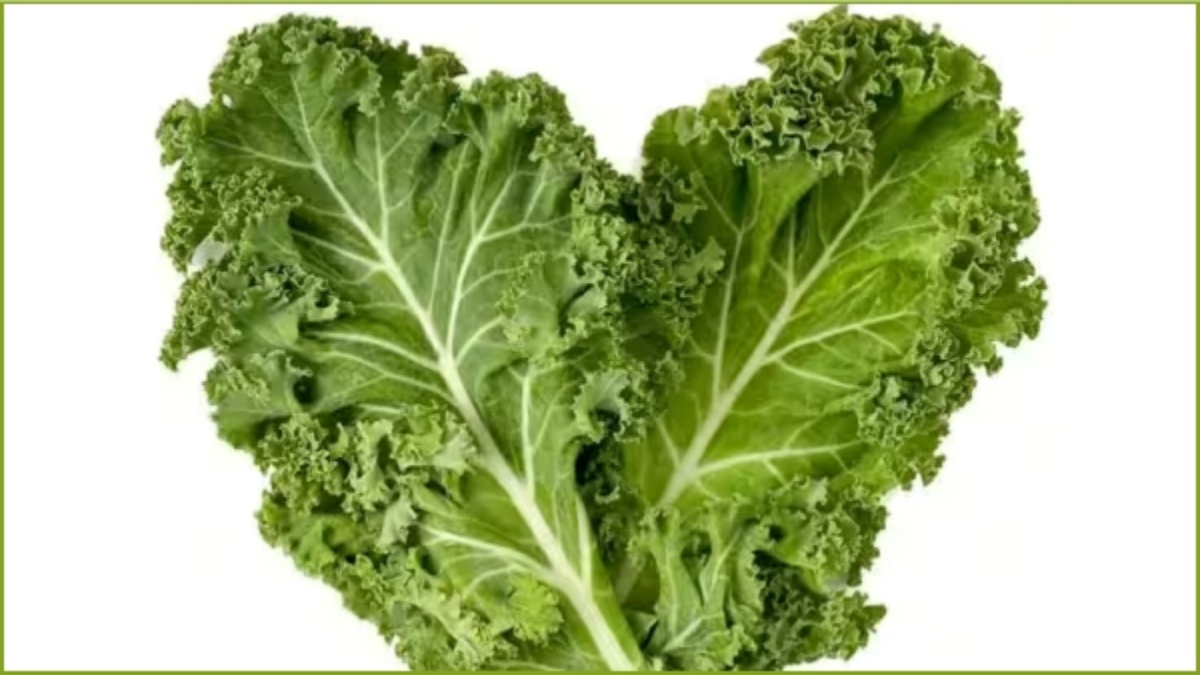 பரட்டைக்கீரை.. சர் சர்ருன்னு வெயிட் குறைக்கும் ஆச்சரிய சூப்கள் ...