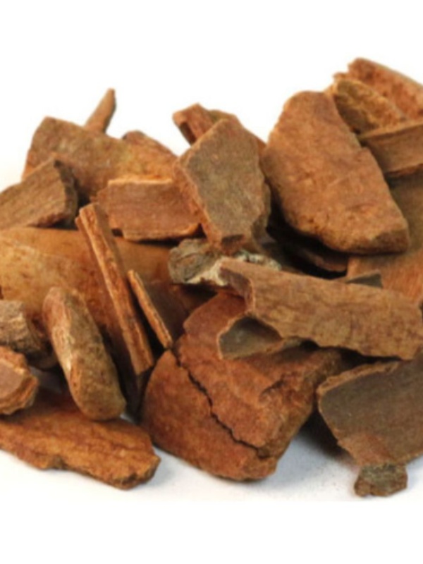 முருங்கையை போல.. மருதம்பட்டை.. சிறுநீரகம் முதல் இதயம் வரை காக்கும் மருத ...