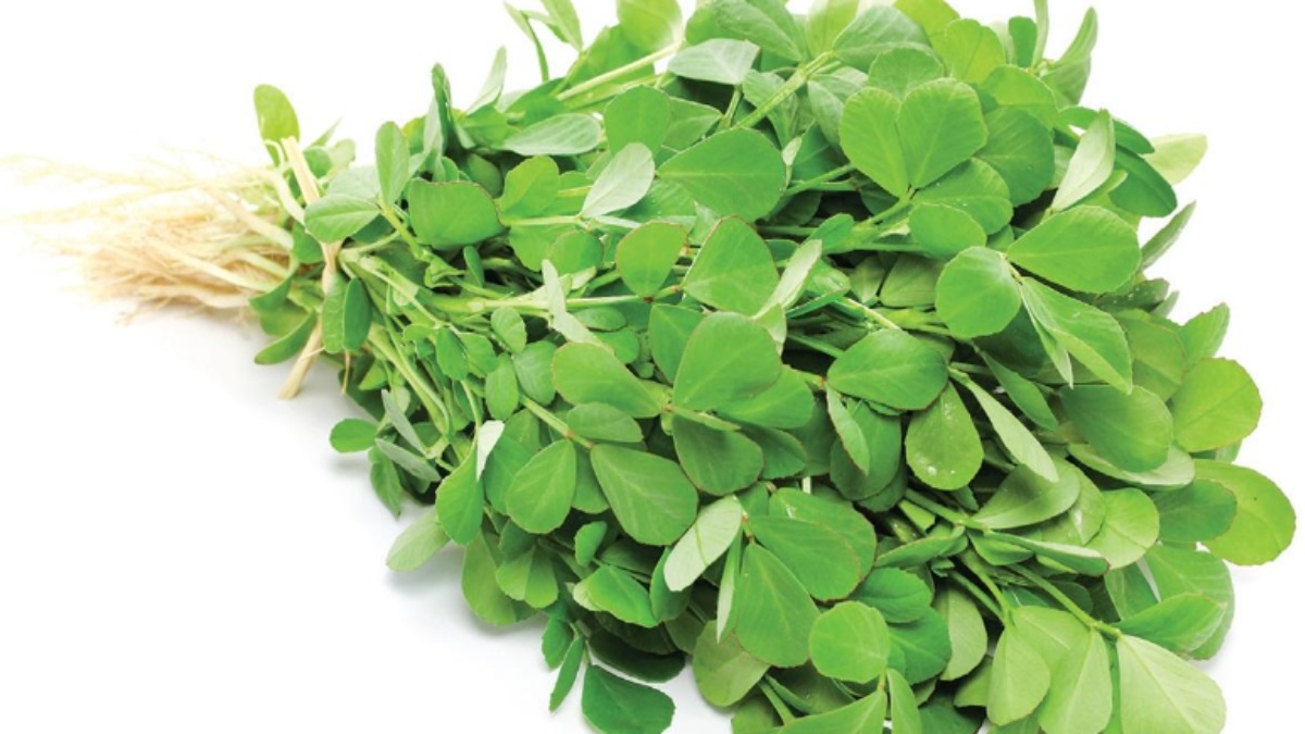 மினுமினுக்குதே.. குப்பைமேனி, அட வெந்தயக்கீரை.. அதென்ன பொன்னாங்கண்ணியா ...