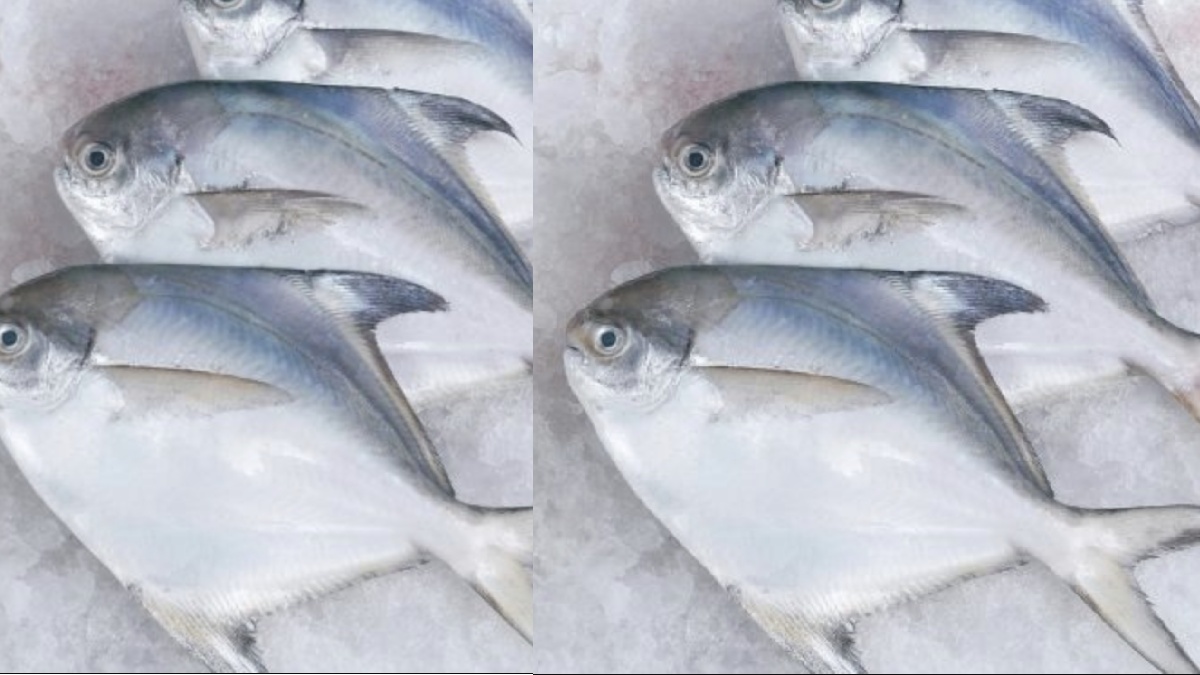 சர்னு வெயிட் குறைய வவ்வால் மீன்.. வாவல் மீனை மிஸ் பண்ணாதீங்க.. இதயம் ...